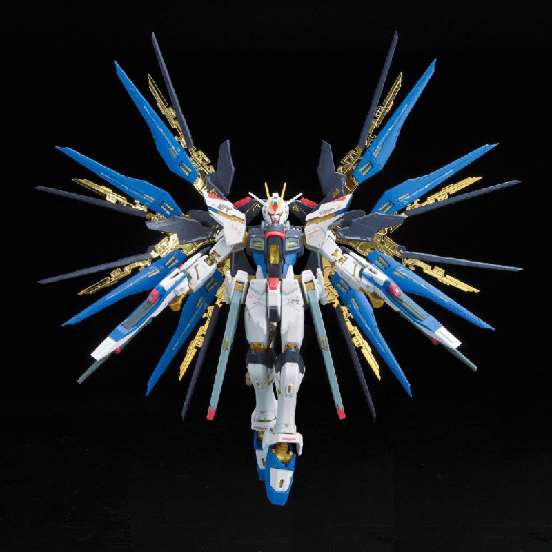GUNDAM Master Grade Strike Freedom Gundam full burst mode Bandai Gunpla