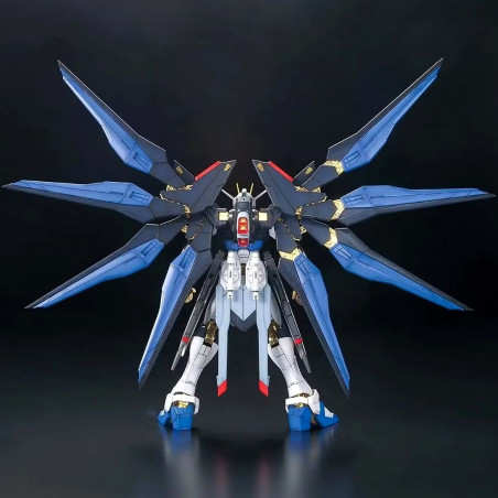 GUNDAM Master Grade Strike Freedom Gundam full burst mode Bandai Gunpla