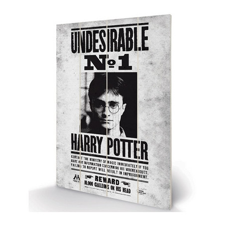 HARRY POTTER Poster sur bois Undesirable N°1 Pyramid